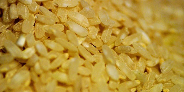 Whole Grain Brown Rice Protein - Ground-Based Nutrition