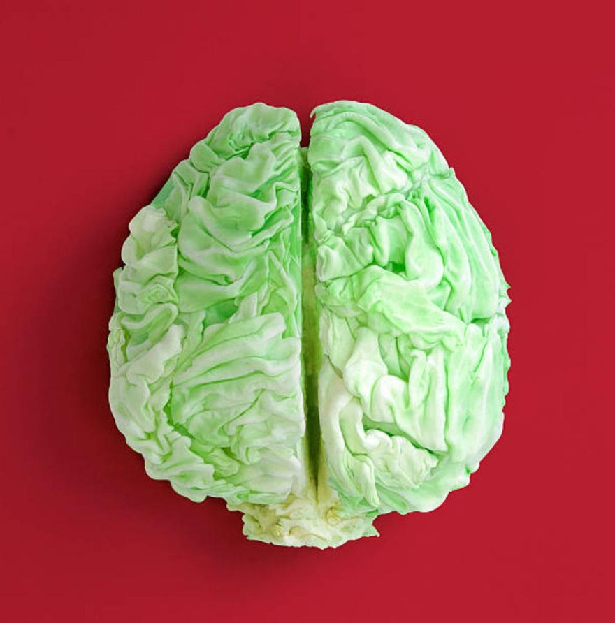 Boost Brain Power with the Paleo Plant-Based Diet - Ground-Based Nutrition
